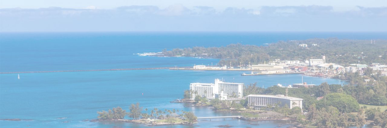 Licensed, Bonded & Insured Security Service | Aloha Security